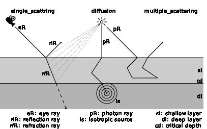 Attributes Correlations